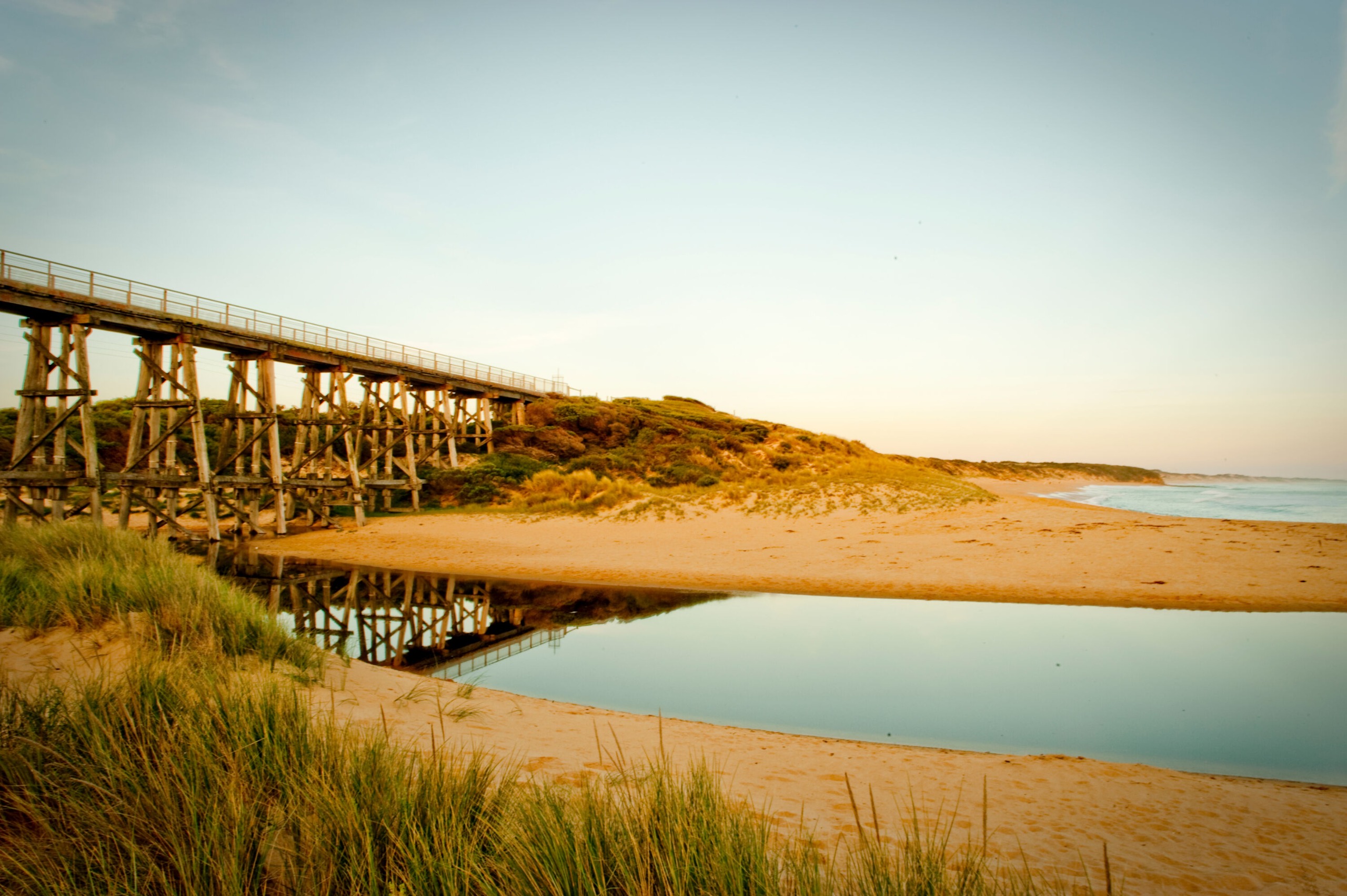 Towards a Better Bass Coast | Engage Bass Coast