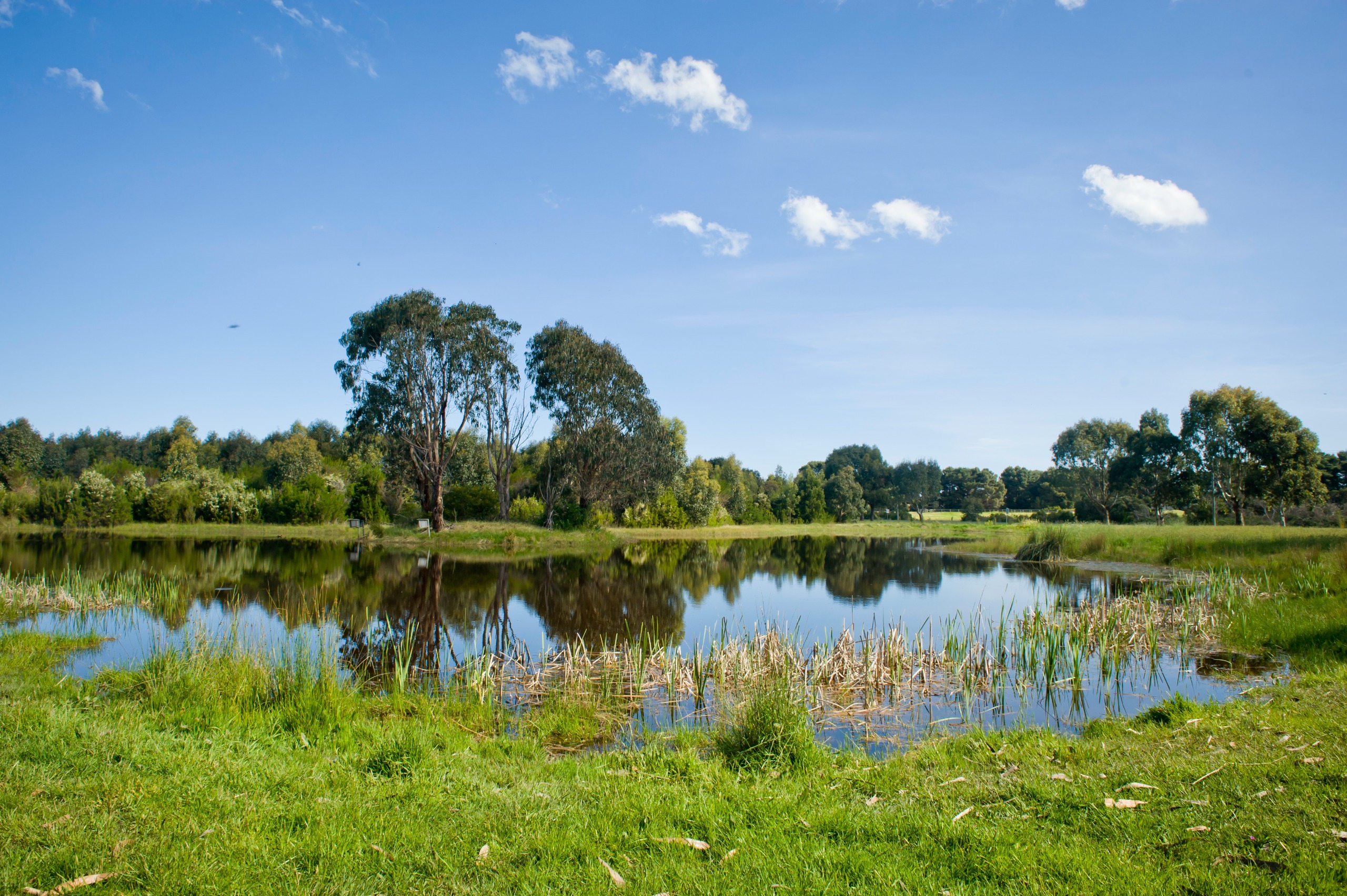 Wonthaggi Opportunity Unlocked | Engage Bass Coast