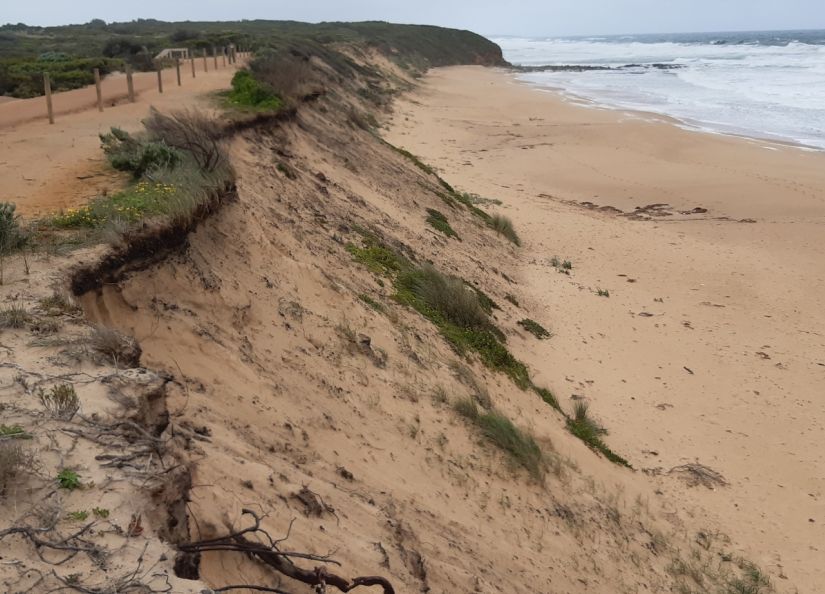 Climate Emergency - Mitigation and Adaption | Engage Bass Coast