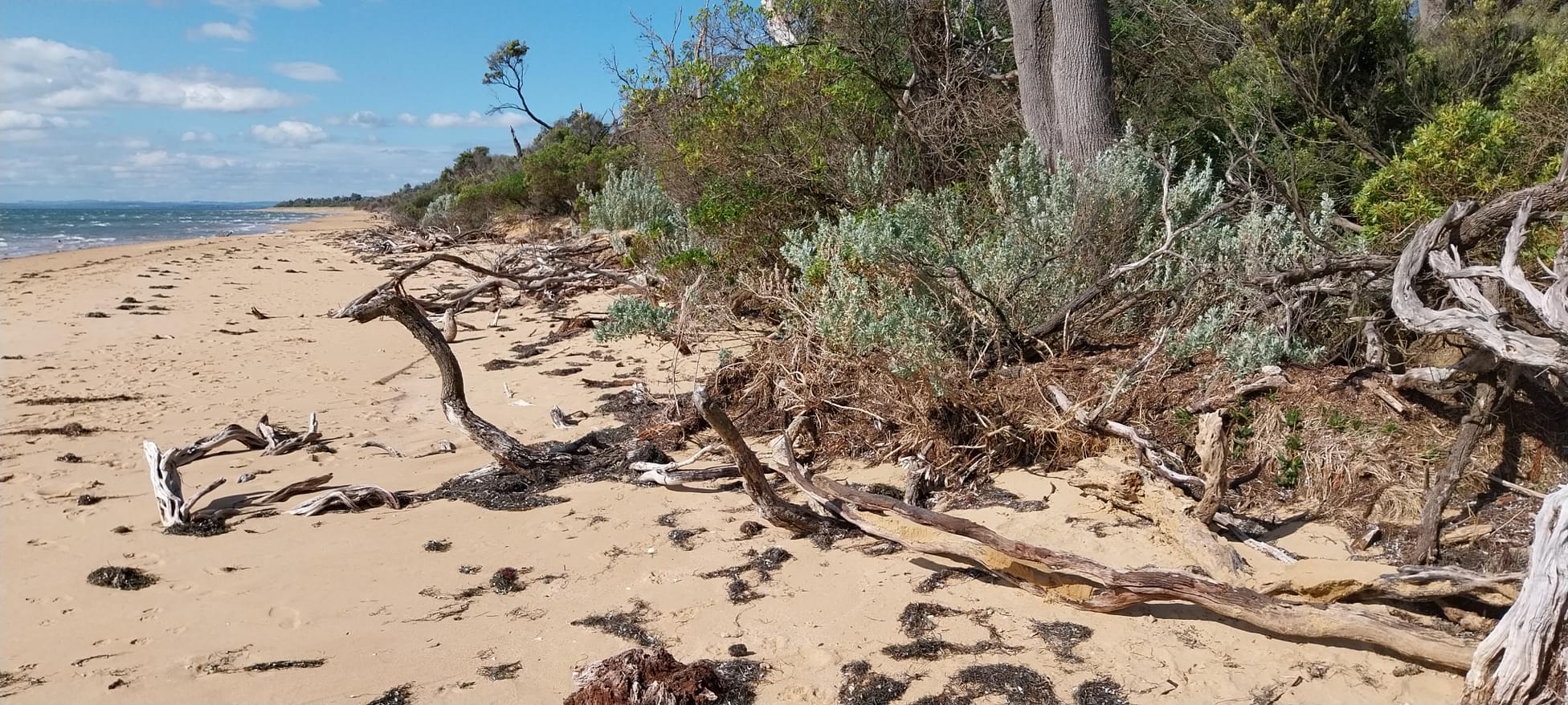 Climate Emergency - Mitigation and Adaption | Engage Bass Coast