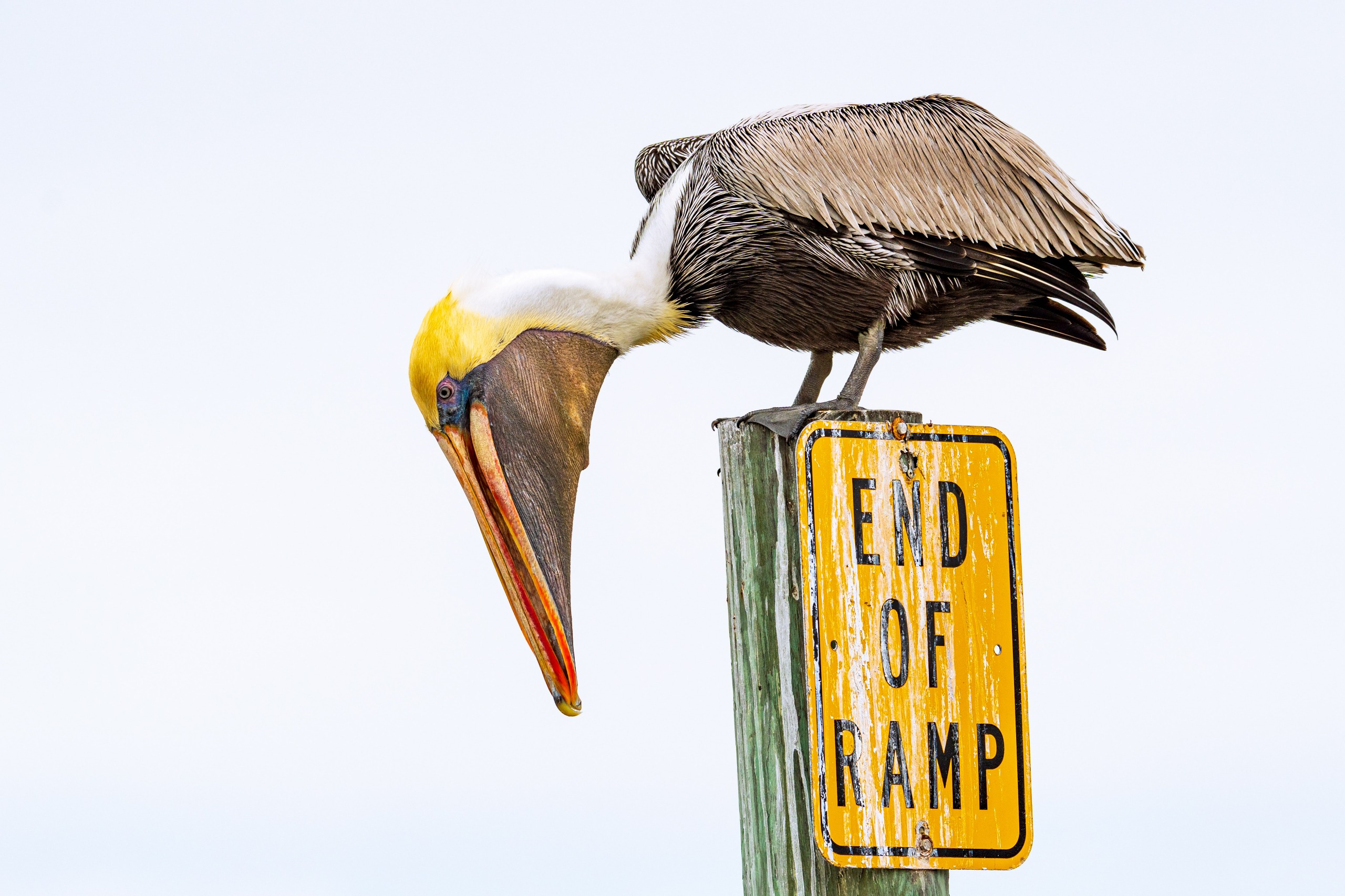 Cowes Boat Ramp and Jetty Upgrade - Anderson Road | Engage Bass Coast